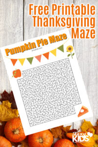 Printable Pumpkin Pie Maze for Thanksgiving Fun - Jinxy Kids